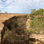 Winton: Bladensburg National Park Half Day Tour - Practical Aspects: What You Need to Know
