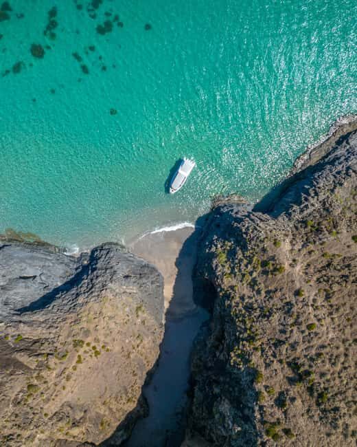 Wirrina Cove: Coastal Sightseeing Boat Tour with Seal Colony - What’s Included and Practical Details