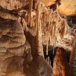 Wombeyan Caves: Kooringa Cave Guided Tour - Exploring Wombeyan Caves: What You Can Expect
