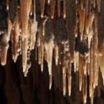 Wombeyan Caves: Mulwaree Cave tour - Authentic Visitor Perspectives