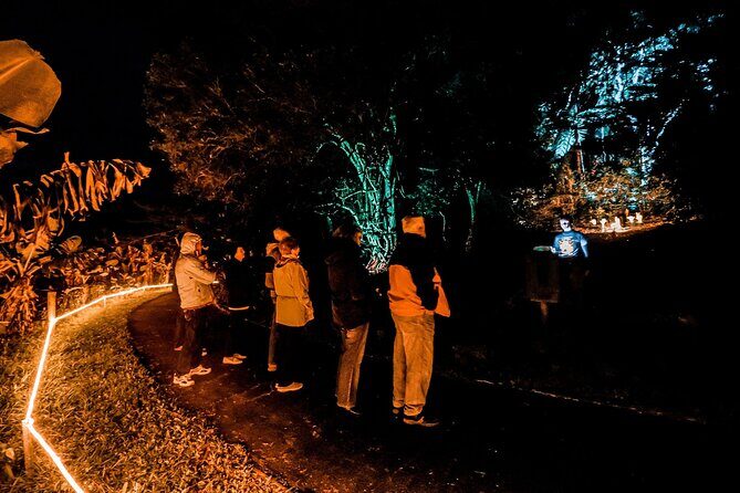 Wonderland by Night Norfolk Island - Who leads the tour?