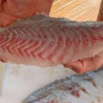 Wonga: Guided Fishing, Farming and Tasting Tour - An In-Depth Look at the Wonga Guided Tour
