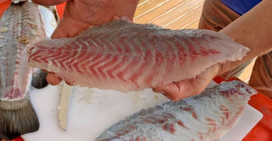 Wonga: Guided Fishing, Farming and Tasting Tour - An In-Depth Look at the Wonga Guided Tour