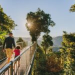 Wooroonooran National Park: Mamu Tropical Skywalk Admission - The Cantilever: Stepping Out into the Heights