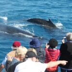 World class Whale Watching from Hervey Bay - Frequently Asked Questions