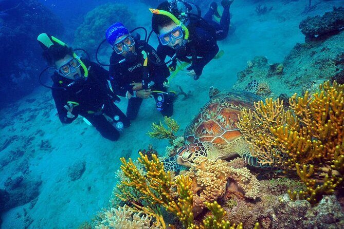 Wunyami Cultural Tour on Green Island's Eco Adventure - What Makes This Tour Special?