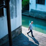 Wuzhen: Xizha and Dongzha Water Towns Night Tour - Who Will Love This Tour?