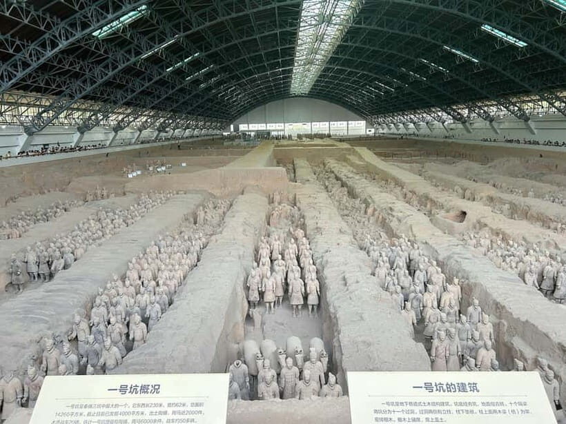 Xi'an Terracotta Army: English Guide Service & Tour Options - What To Expect at the Site