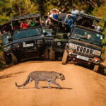 Yala National Park: Entrance Ticket - What Is Yala National Park?