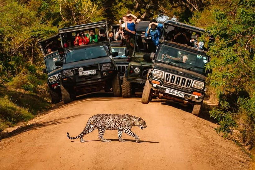 Yala National Park: Entrance Ticket - What Is Yala National Park?