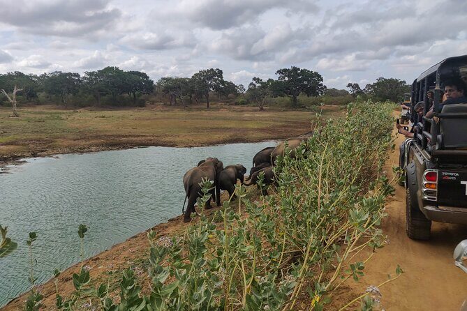 Yala National Park Safari from Bentota - How the Tour Works
