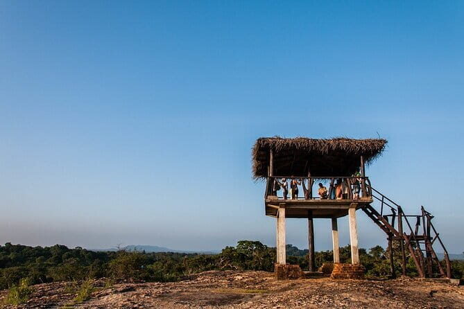 Yala National Park Shared Safari | From Hambantota Port - The Real Value: What Travelers Say and Why It Matters