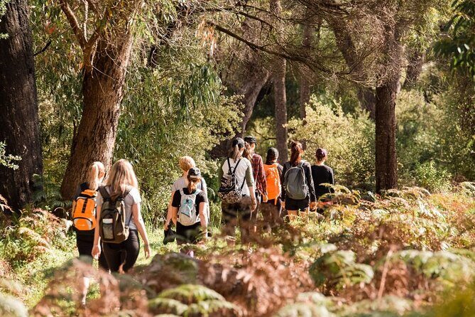 Yanchep Ultimate Adventure Guided Hike Tour - The Itinerary: A Detailed Breakdown