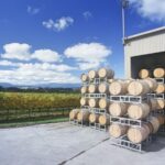 Yarra Valley and Dandenong Ranges: Scenic Bus Tour and Lunch - What Makes This Tour Stand Out?