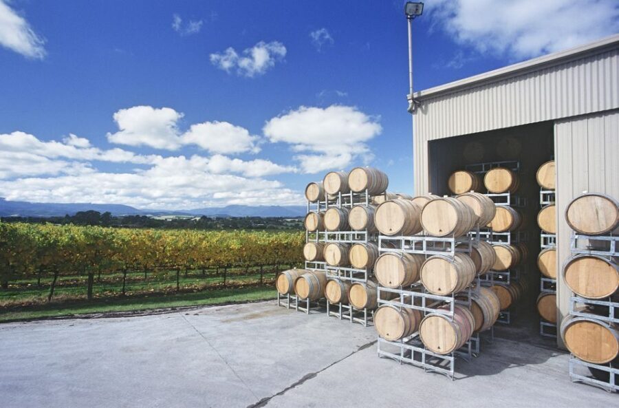 Yarra Valley and Dandenong Ranges: Scenic Bus Tour and Lunch - What Makes This Tour Stand Out?