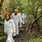 Yarra Valley: Britannia Creek Caving Experience - Is This Tour Worth the Cost?