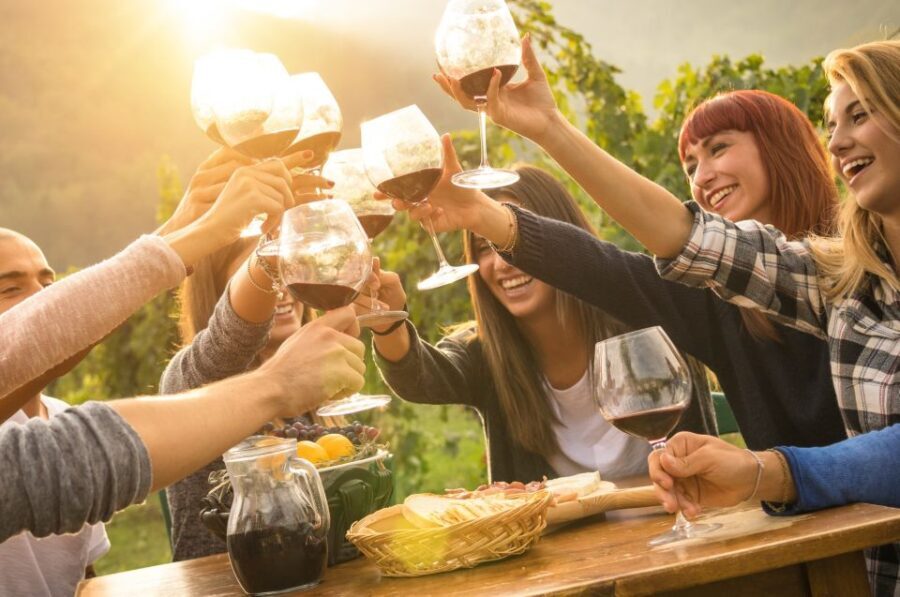 Yarra Valley: Bus Wine Tour with Lunch and a Glass of Wine - What Travelers Say
