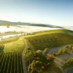 Yarra Valley Wine Day Tour - What’s Included and What’s Not?