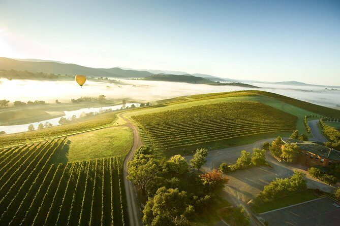 Yarra Valley Wine Day Tour - What’s Included and What’s Not?