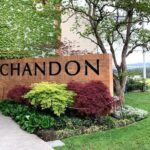 Yarra Valley Wine Tasting Private Tours - Why Travelers Love This Tour