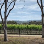 Yarra Valley Wine Tour inc lunch with a glass of wine, tastings and chocolate - What’s Included and How It Adds to Value