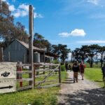 Yarra Valley Wine & Winery Tour from Melbourne - All Inclusive! - Real Experiences from Travelers