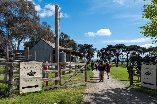 Yarra Valley Wine & Winery Tour from Melbourne - All Inclusive! - Real Experiences from Travelers