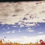 Yarra Valley: Winery Tour with Lunch at Yering Station - The Overall Experience: Value, Comfort, and Authenticity