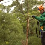 Yeodene: Tree Ropes Courses - The Experience Provider and Booking Flexibility