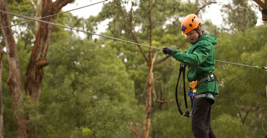 Yeodene: Tree Ropes Courses - The Experience Provider and Booking Flexibility