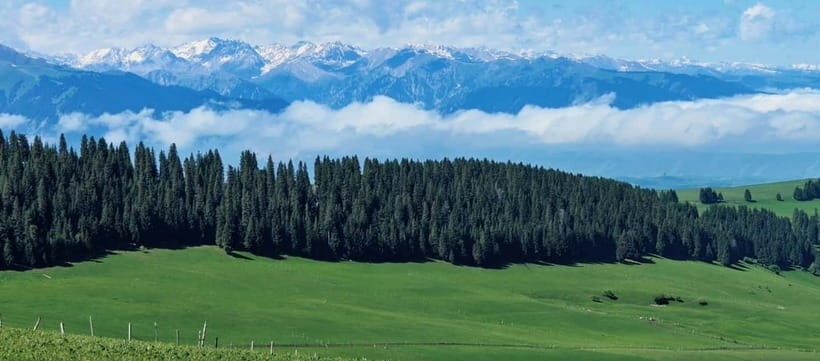 Yining, Xinjiang: 6-Day Kazakh Horseback Crossing Tour - FAQs