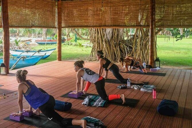 yoga class - Vinyasa Flow (wellness treatments Sri Lanka) - The Practical Details