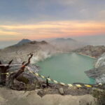Yogyakarta : 4D3N Bromo, Kalibaru Plantation, Ijen, Bali - The Itinerary Breakdown: What to Expect