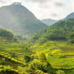 Yogyakarta ;Borobudur Climb Up & Selogriyo Tempel Tracking - What Makes This Tour Special?
