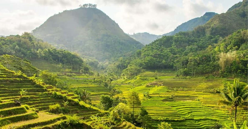 Yogyakarta ;Borobudur Climb Up & Selogriyo Tempel Tracking - What Makes This Tour Special?