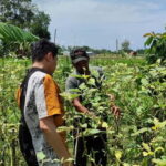 Yogyakarta: Cooking Class with Market Visit and Hotel Pickup - Practical Details