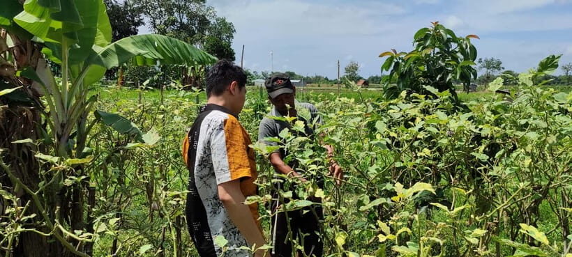Yogyakarta: Cooking Class with Market Visit and Hotel Pickup - Practical Details