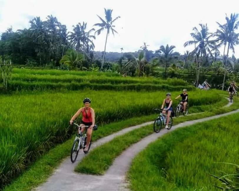 YOGYAKARTA; CYCLING IN PRAMBANAN VILLAGE & PRAMBANAN TEMPLE - What to Expect from the Experience
