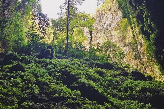 Yogyakarta Jomblang Cave and Pindul Cave Tour - Practical Details and What You Should Know