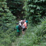 Yogyakarta : Mount Merapi Soft Trek and Botanic Village Tour - A Closer Look at the Itinerary