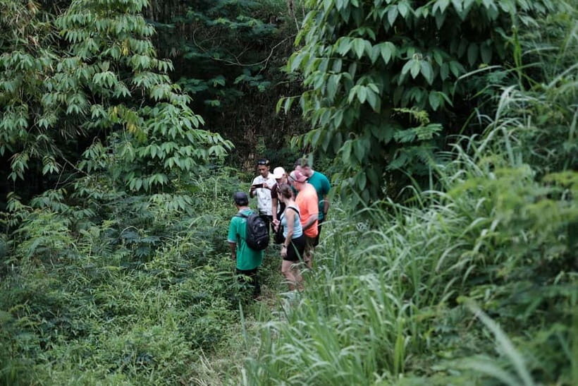Yogyakarta : Mount Merapi Soft Trek and Botanic Village Tour - A Closer Look at the Itinerary