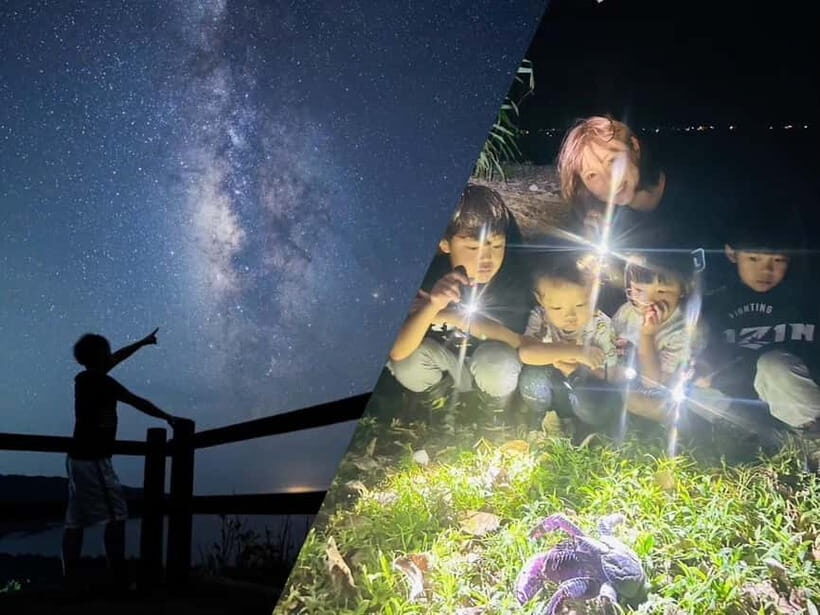 Yonaguni Island: Stargazing and Jungle Night Tour - Why This Tour Offers Genuine Value