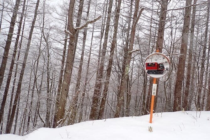 Yonako Falls Expedition: A Snowshoeing Adventure - The Sum Up