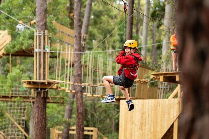 Your Little Ones Can Soar Through the Pines of Kuitpo Forest - The Value for Money