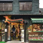 Yufuin: Onsen Wellness & Culinary Delights Guided Tour - What Makes This Tour Stand Out?