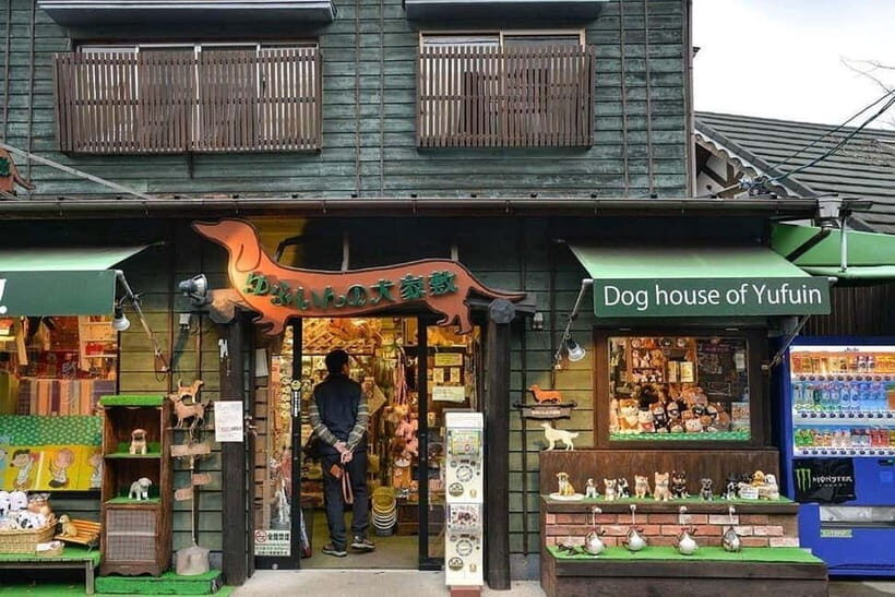 Yufuin: Onsen Wellness & Culinary Delights Guided Tour - What Makes This Tour Stand Out?