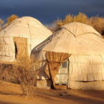 Yurt Camp Tour with Night from Bukhara - Practicalities and Logistics