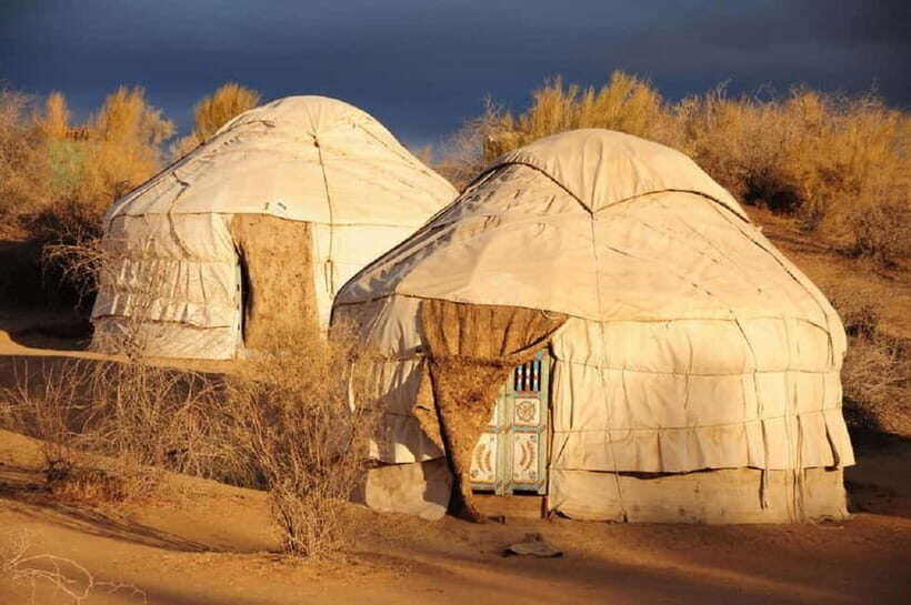 Yurt Camp Tour with Night from Bukhara - Practicalities and Logistics