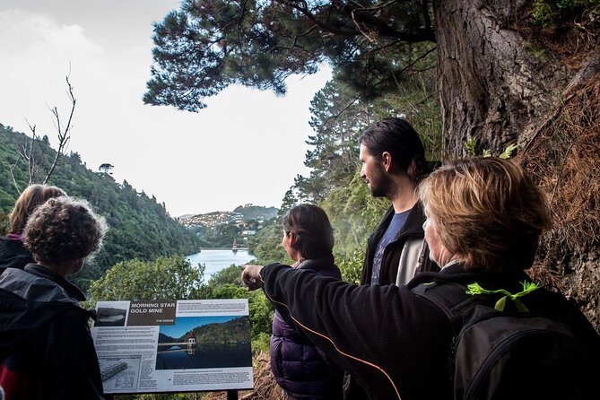 Zealandia - Twilight Guided Eco Wildlife Tour - Practical Tips for Making the Most of Your Tour