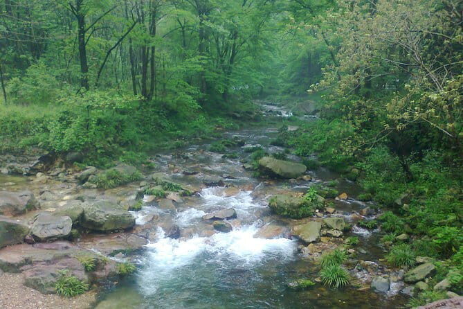 Zhangjiajie 5-Day Private Tour to All Highlight Attractions - How the Price Reflects Value